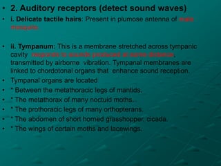 Lecture 18 - Insect Sense organs - Copy.ppt