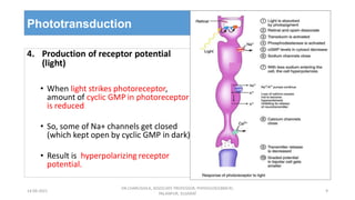 lecture 3/2022 Special senses - Vision 3- Physiology of vision- Photo ...