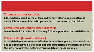 Lecture 18 cardiovascular system | PPTX | Heart and Cardiovascular ...