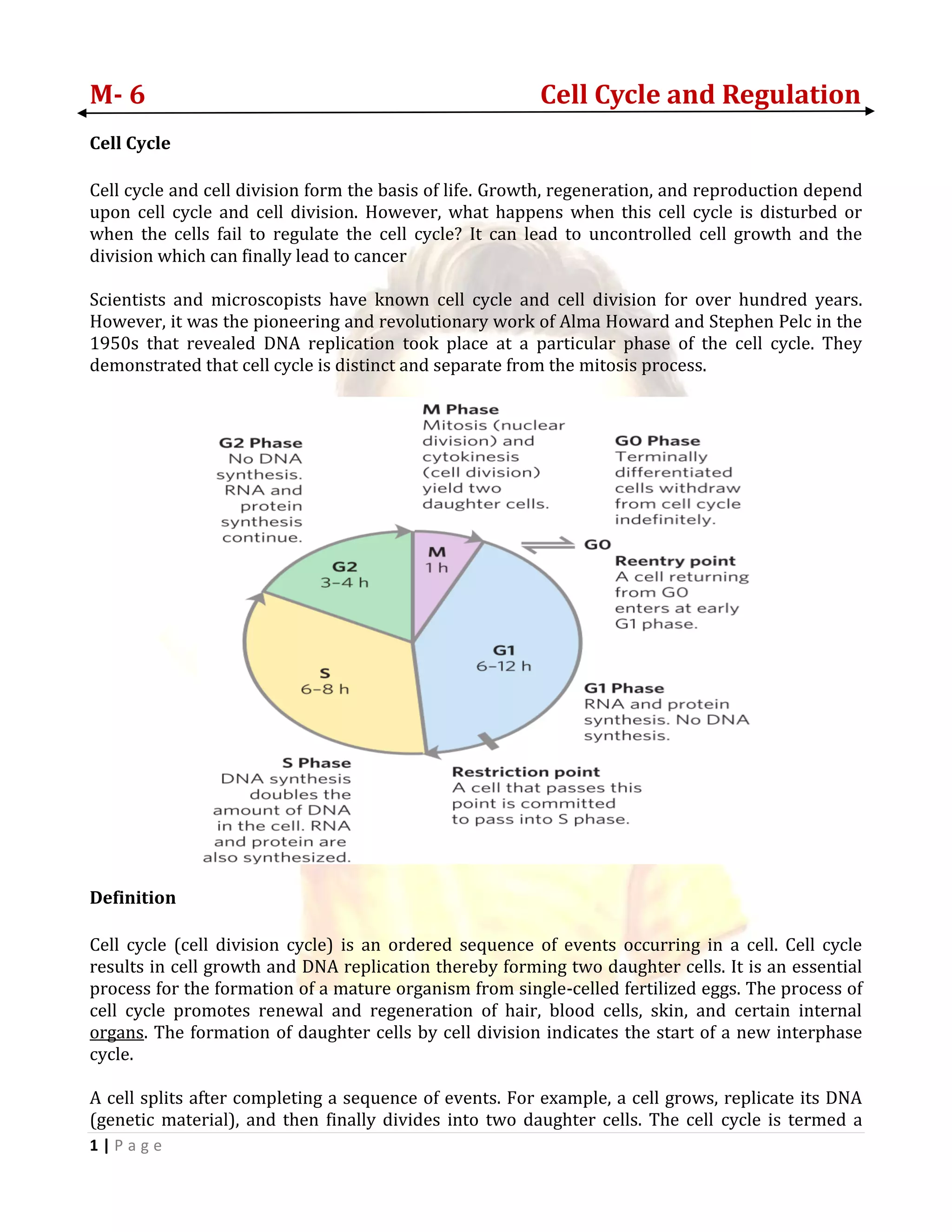 Lecture 18 cell cycle and its regulation converted | PDF