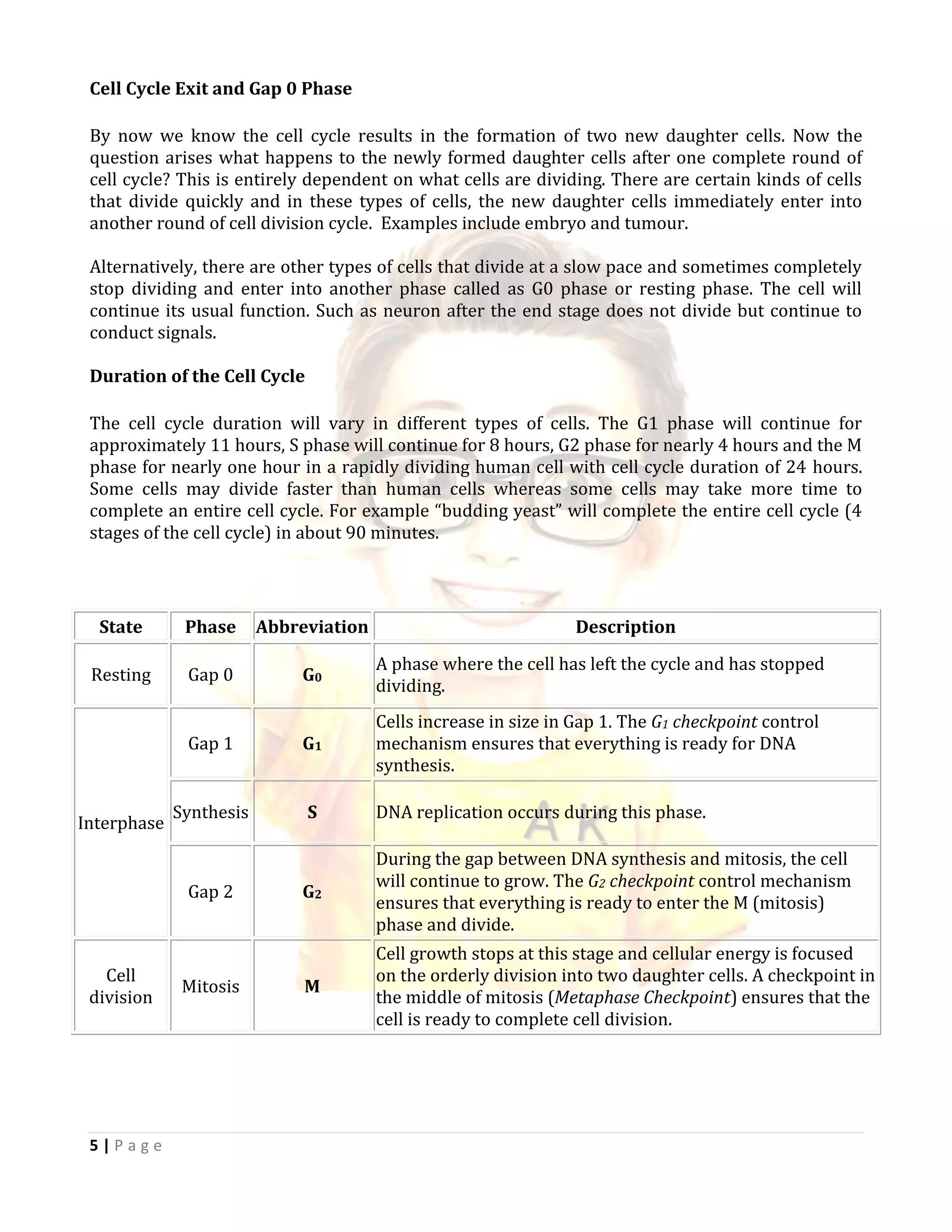 Lecture 18 cell cycle and its regulation converted | PDF