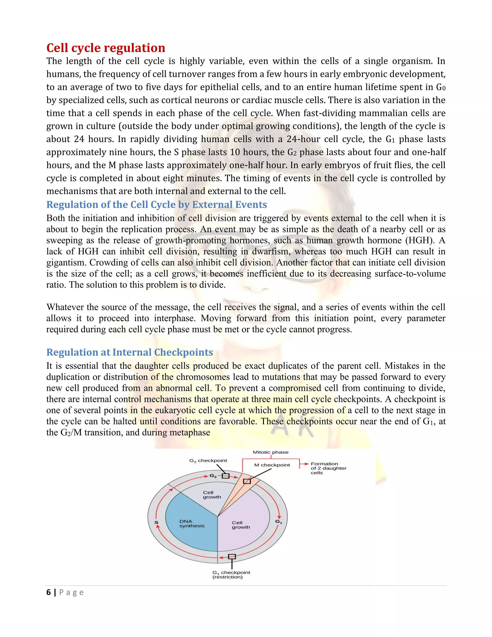 Lecture 18 cell cycle and its regulation converted | PDF