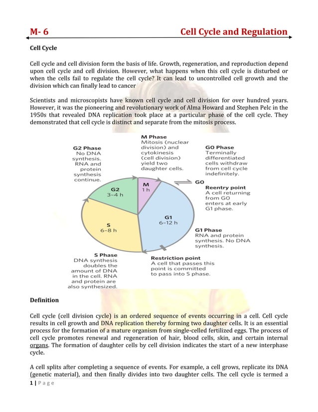 Lecture 18 cell cycle and its regulation converted | PDF