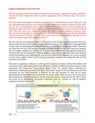 Lecture 18 cell cycle and its regulation converted | PDF