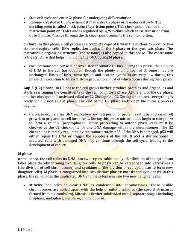Lecture 18 cell cycle and its regulation converted | PDF