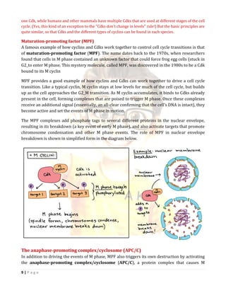 Lecture 18 cell cycle and its regulation converted | PDF
