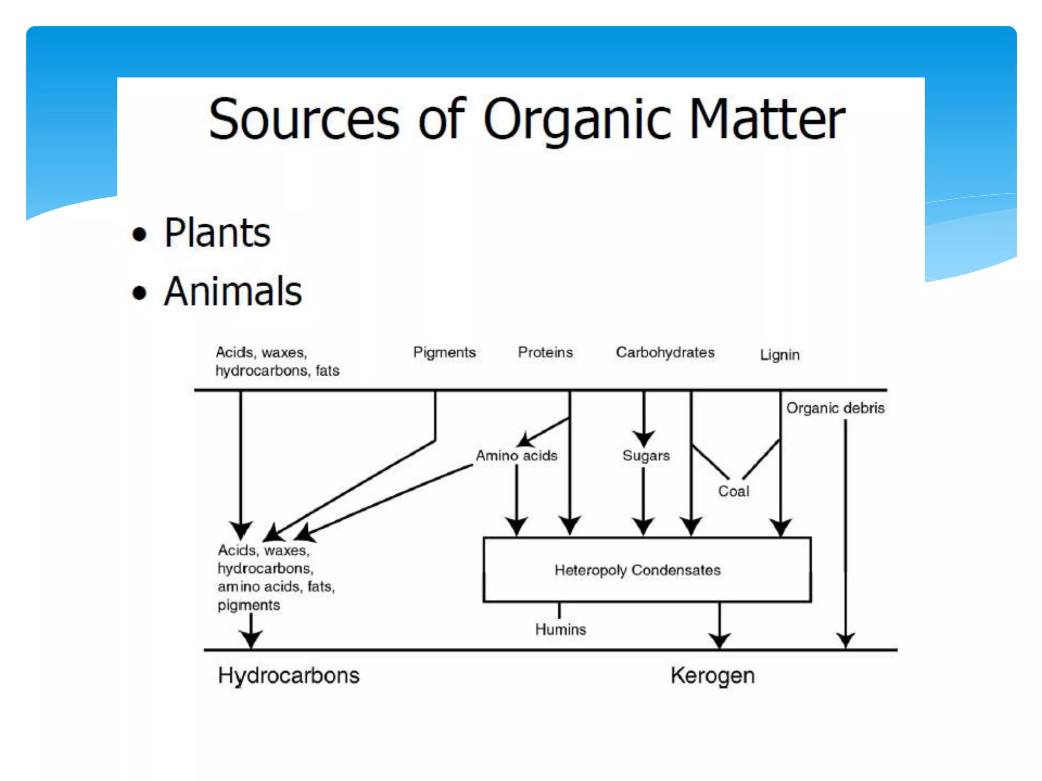 Hydrocarbon Generation & Migration | PPTX