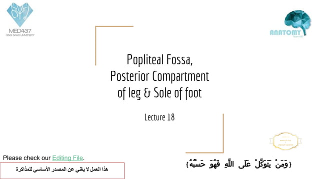 Lecture 18 popliteal fossa anatomy lower limb | PDF