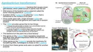 Lecture18_recombinant_DNA_technology.pdf