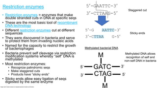 Lecture18_recombinant_DNA_technology.pdf