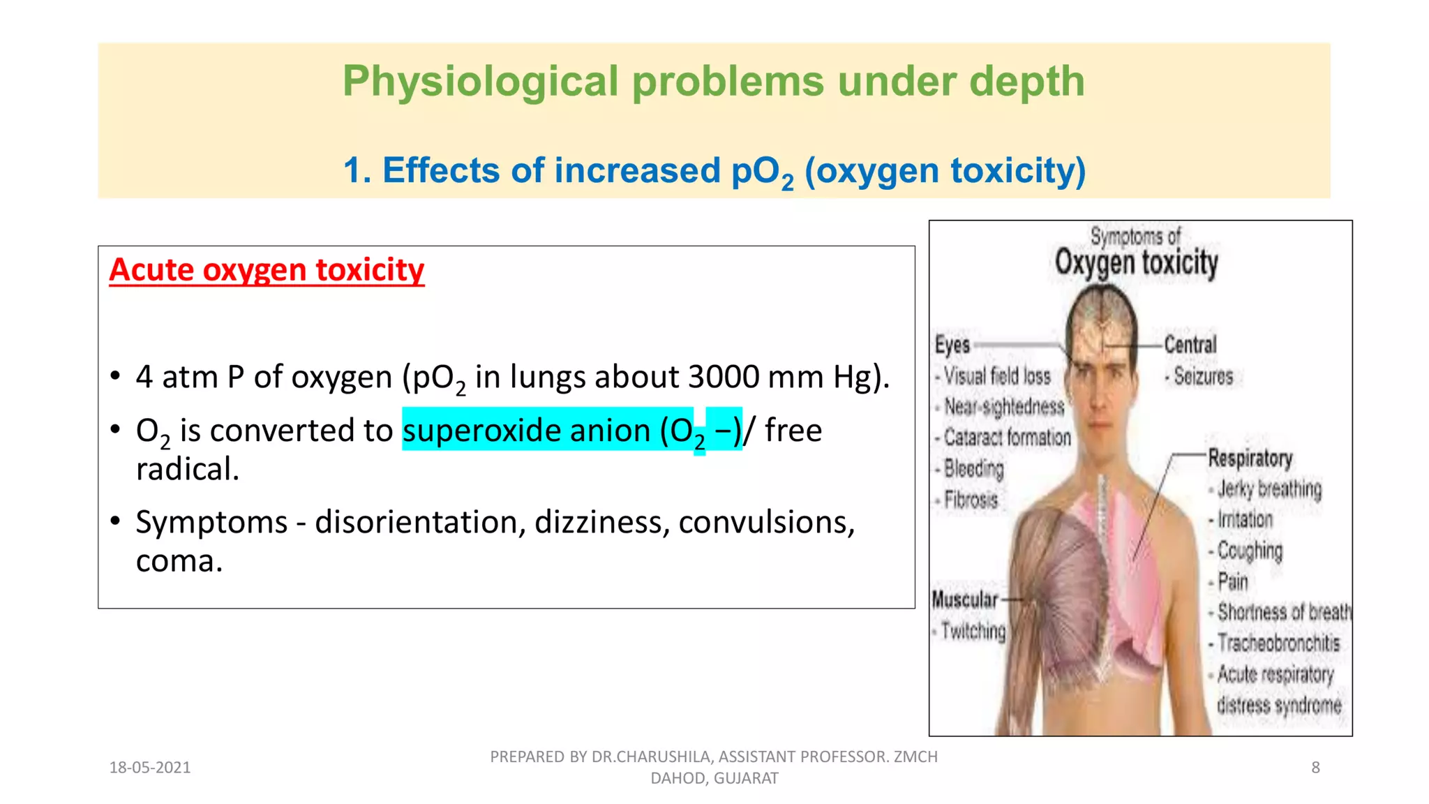 Physiology of high atmospheric pressure:Effects of increased pO2 ...