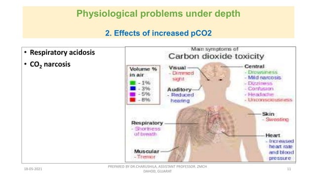 Physiology of high atmospheric pressure:Effects of increased pO2 ...