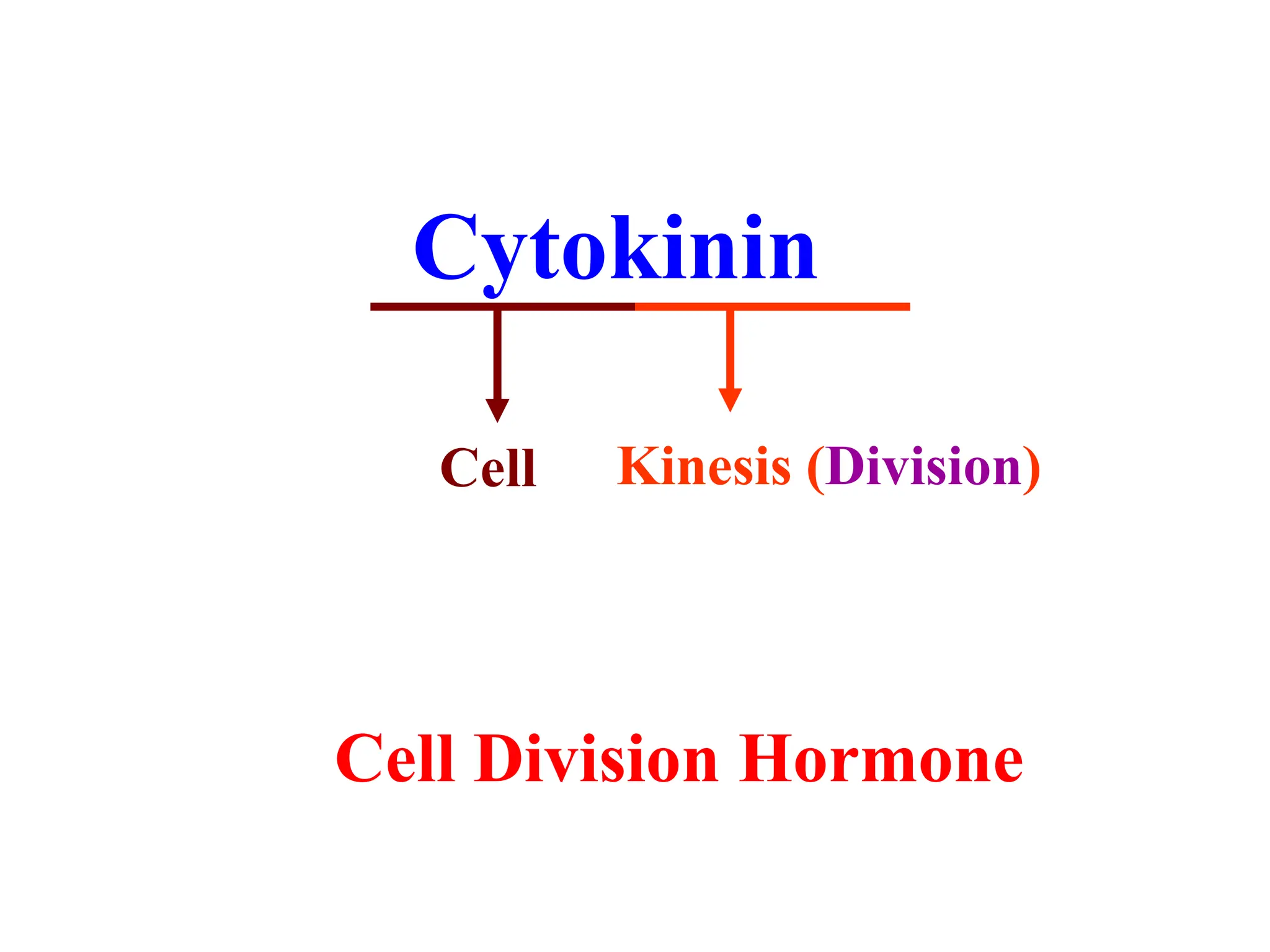 Lecture 19.ppt CRP 202346789 collage of agricultural | PPT