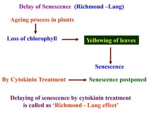 Lecture 19.ppt CRP 202346789 collage of agricultural | PPT
