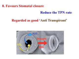 Lecture 19.ppt CRP 202346789 collage of agricultural | PPT