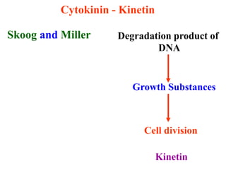 Lecture 19.ppt CRP 202346789 collage of agricultural | PPT