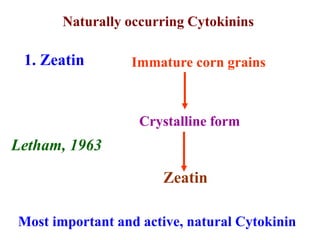 Lecture 19.ppt CRP 202346789 collage of agricultural | PPT