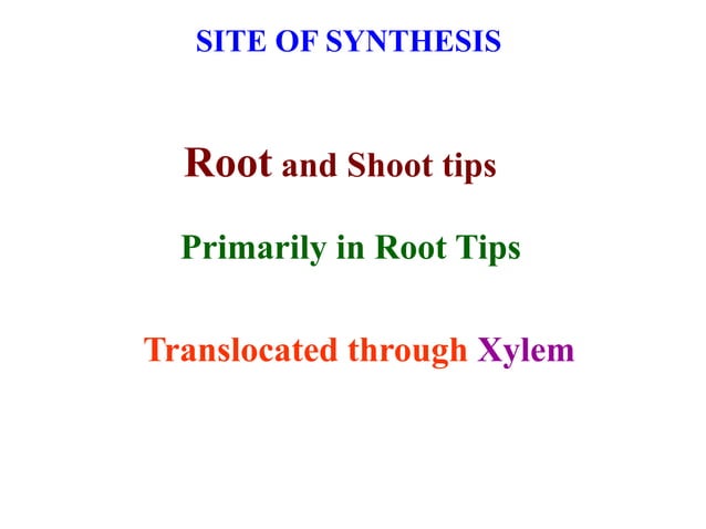 Lecture 19.ppt CRP 202346789 collage of agricultural | PPT
