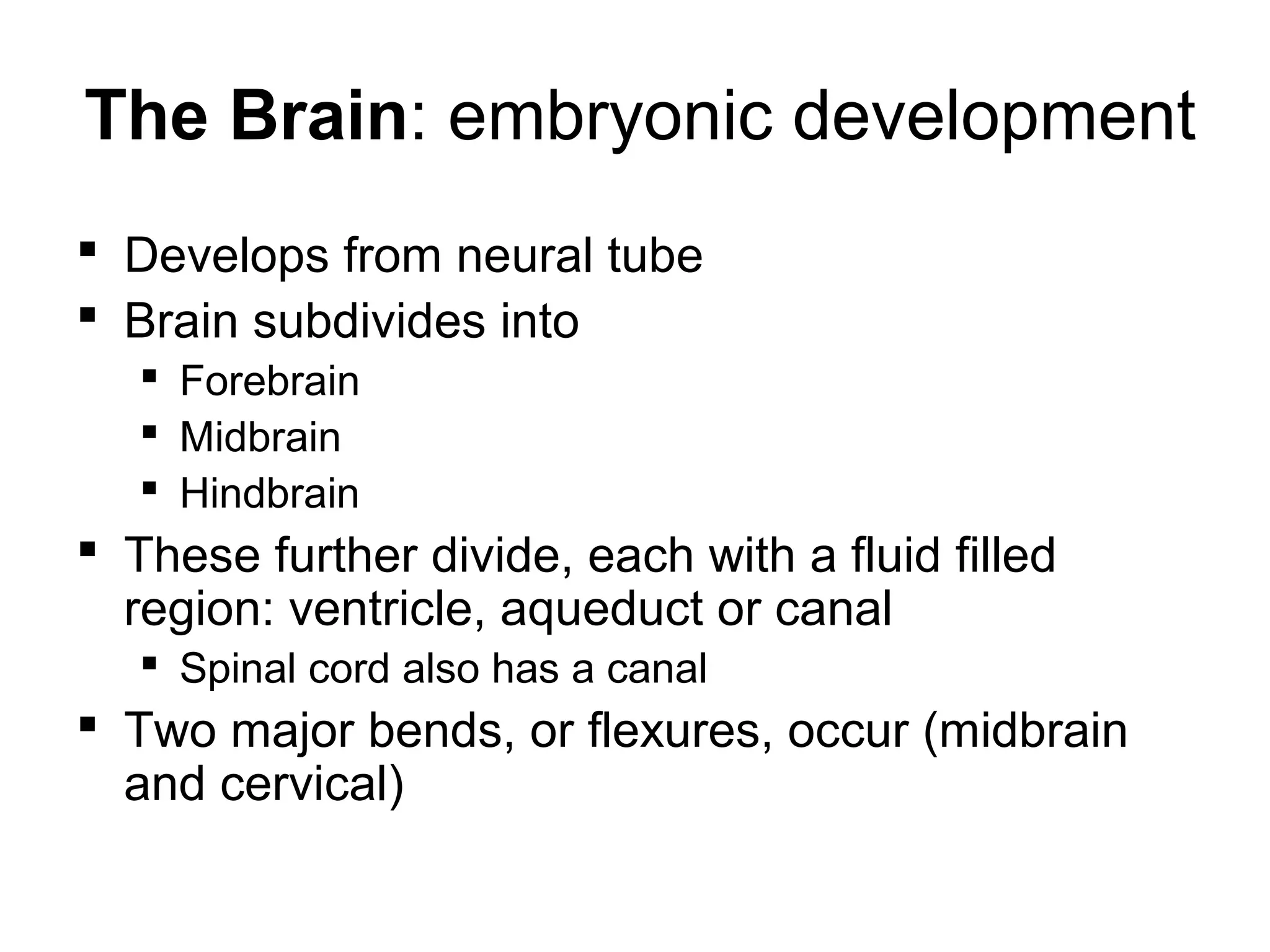 Lecture 19 central nervous system (a) | PPT