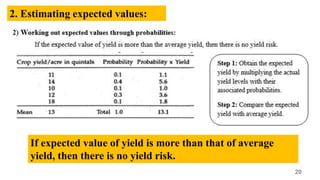 Lecture 19 Risk and Uncertainty | PPTX