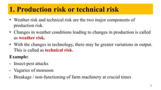Lecture 19 Risk and Uncertainty | PPTX