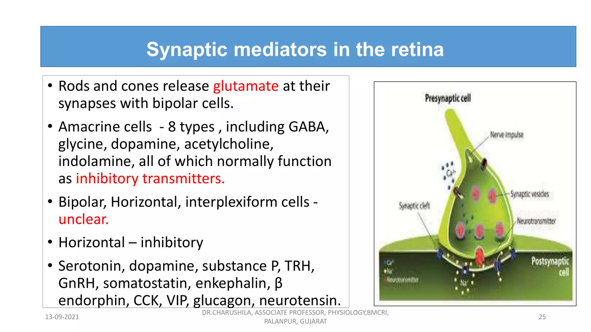 Lecture 4/2022 Special senses -Vision 4 -Physiology of vision ...