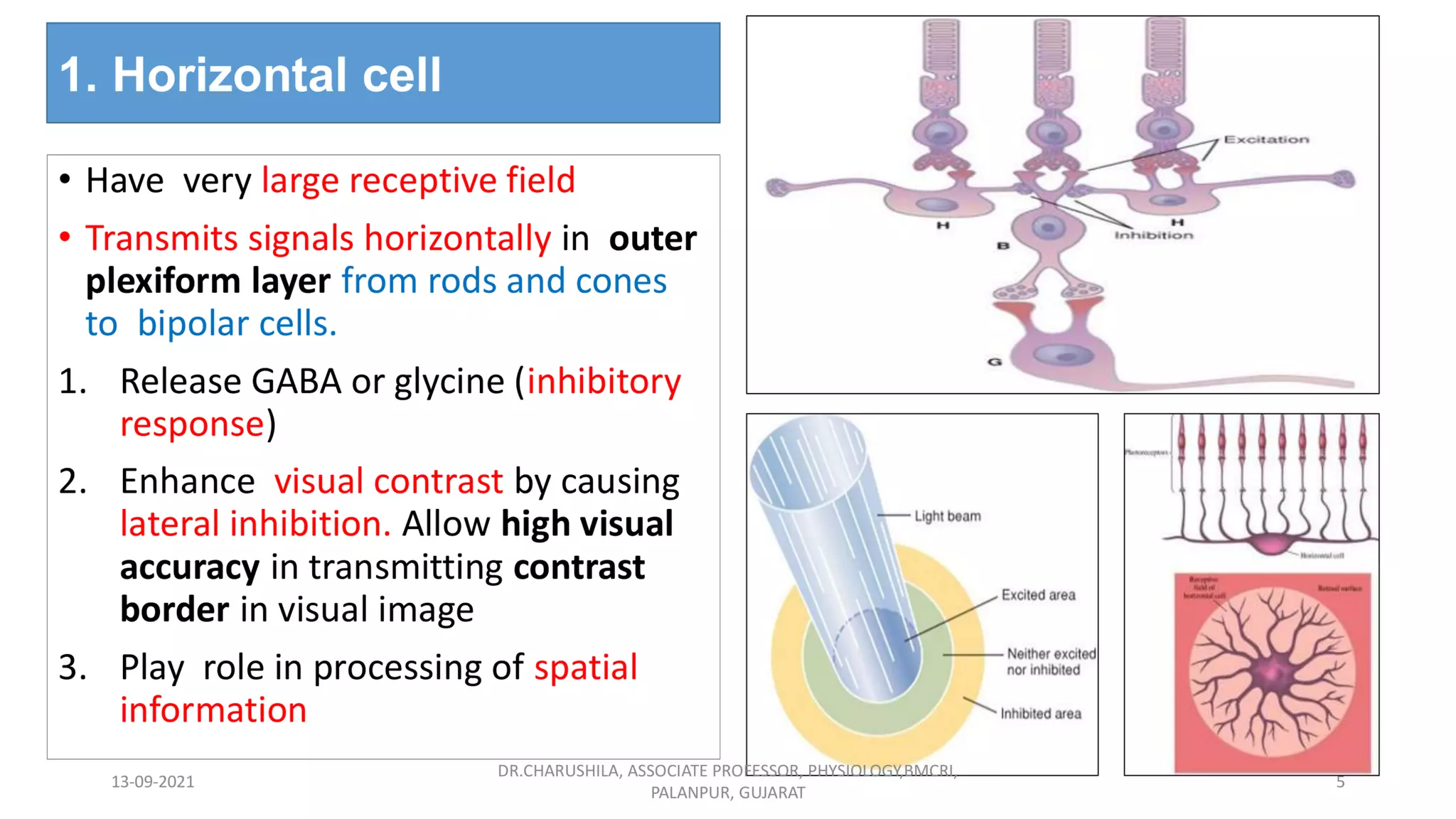 Lecture 4/2022 Special senses -Vision 4 -Physiology of vision ...