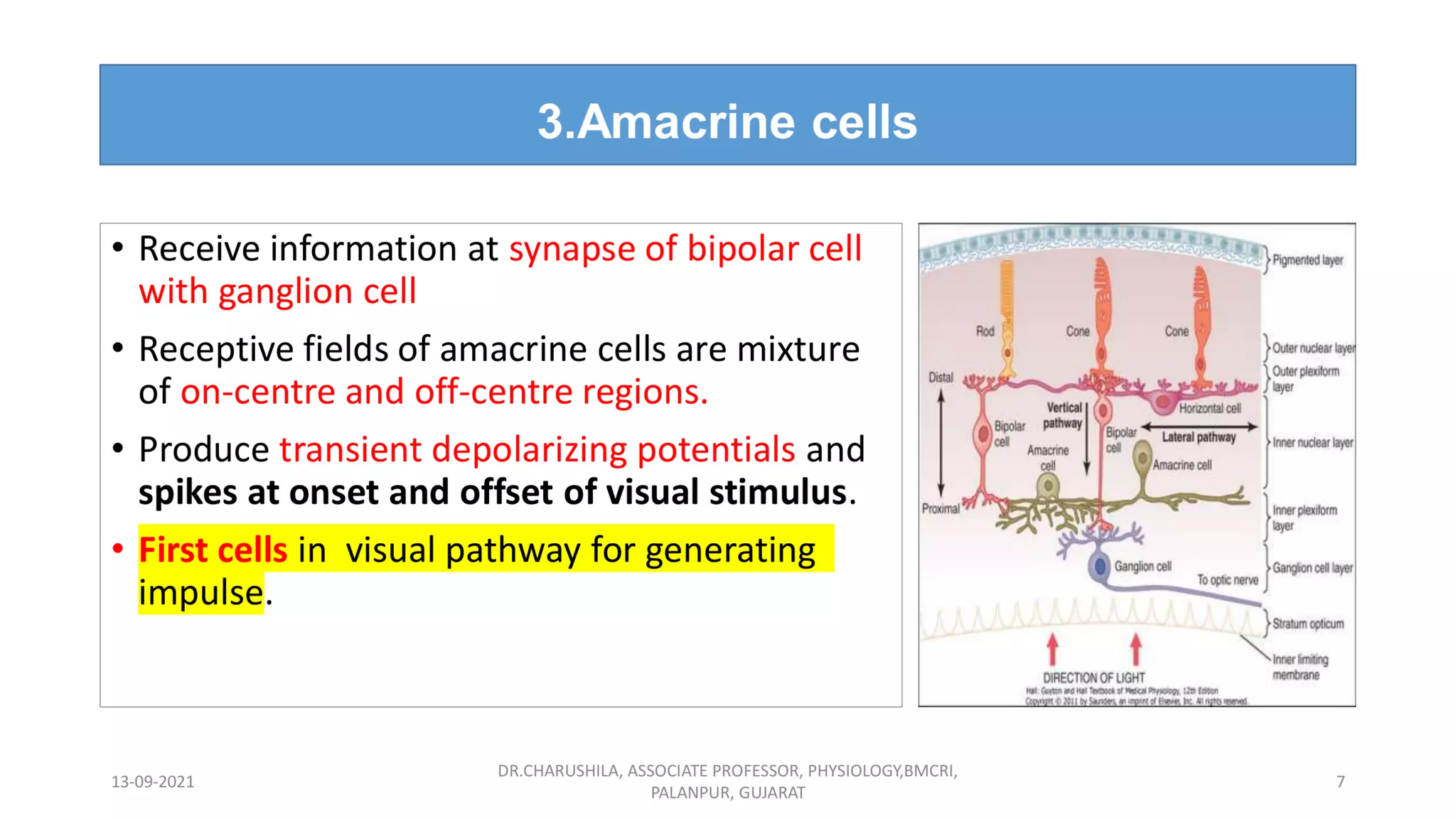 Lecture 4/2022 Special senses -Vision 4 -Physiology of vision ...