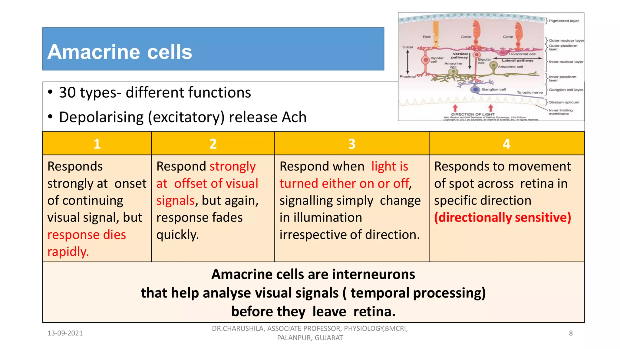 Lecture 4/2022 Special senses -Vision 4 -Physiology of vision ...