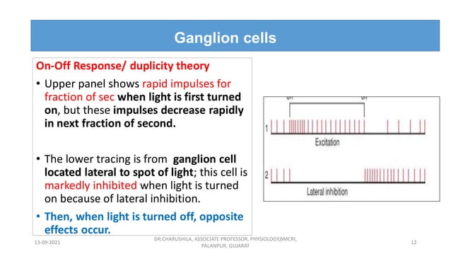 Lecture 4/2022 Special senses -Vision 4 -Physiology of vision ...