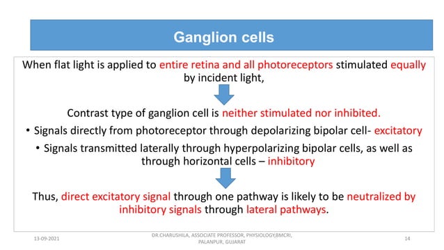 Lecture 4/2022 Special senses -Vision 4 -Physiology of vision - Processing of visual impulse in ...