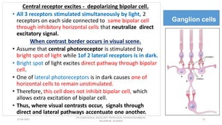 Lecture 4/2022 Special senses -Vision 4 -Physiology of vision ...