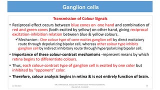 Lecture 4/2022 Special senses -Vision 4 -Physiology of vision ...