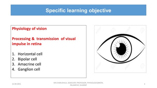 Lecture 4/2022 Special senses -Vision 4 -Physiology of vision ...