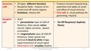 Lecture 4/2022 Special senses -Vision 4 -Physiology of vision ...