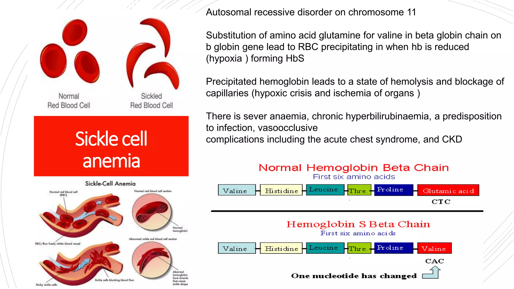 Lecture 19 Hematological disorders in pregnancy | PPTX