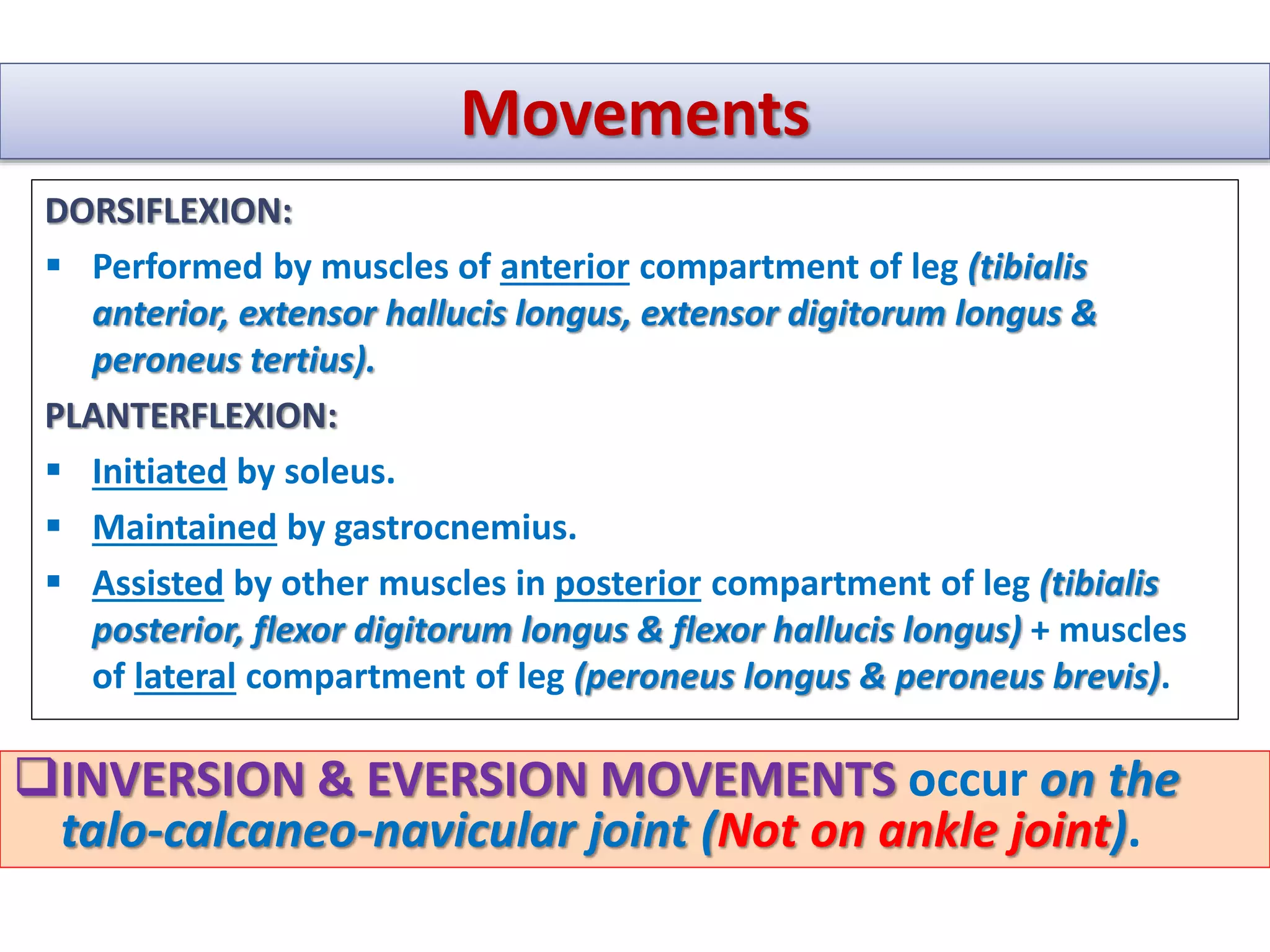 Lecture 19 Hip, Knee & ankle joints.pptx
