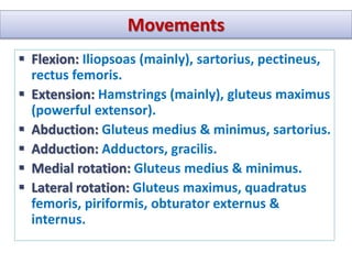 Lecture 19 Hip, Knee & ankle joints.pptx