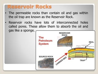 lecture19hydrocarbontrapsandseals-140910011611-phpapp02.pdf
