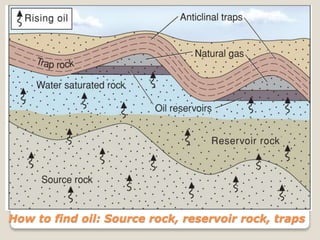 Hydrocarbon Traps & Seals | PPTX