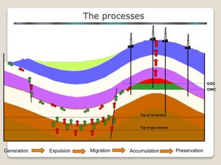 Hydrocarbon Traps & Seals | PPTX