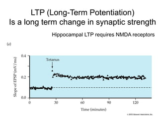Lecture19 memory ii | PPTX