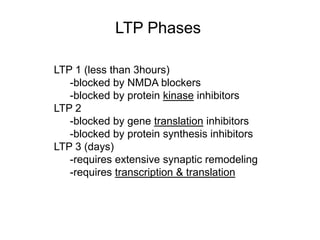 Lecture19 memory ii | PPTX