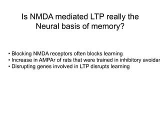 Lecture19 memory ii | PPTX | Brain and Nervous System Disorders | Diseases and Conditions