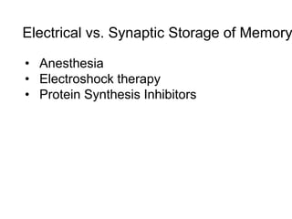 Lecture19 memory ii | PPTX