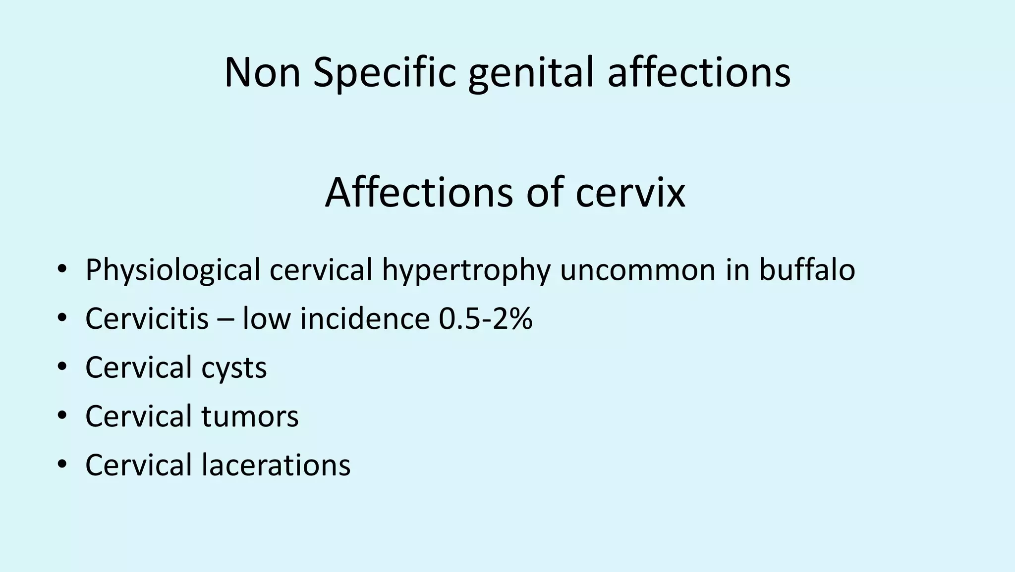 Lecture 19 Reproduction and infertility in female buffaloes | PDF
