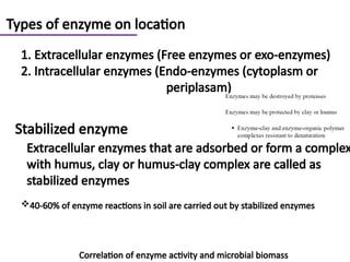 Soil Enzymes and their role in soil functions | PPTX