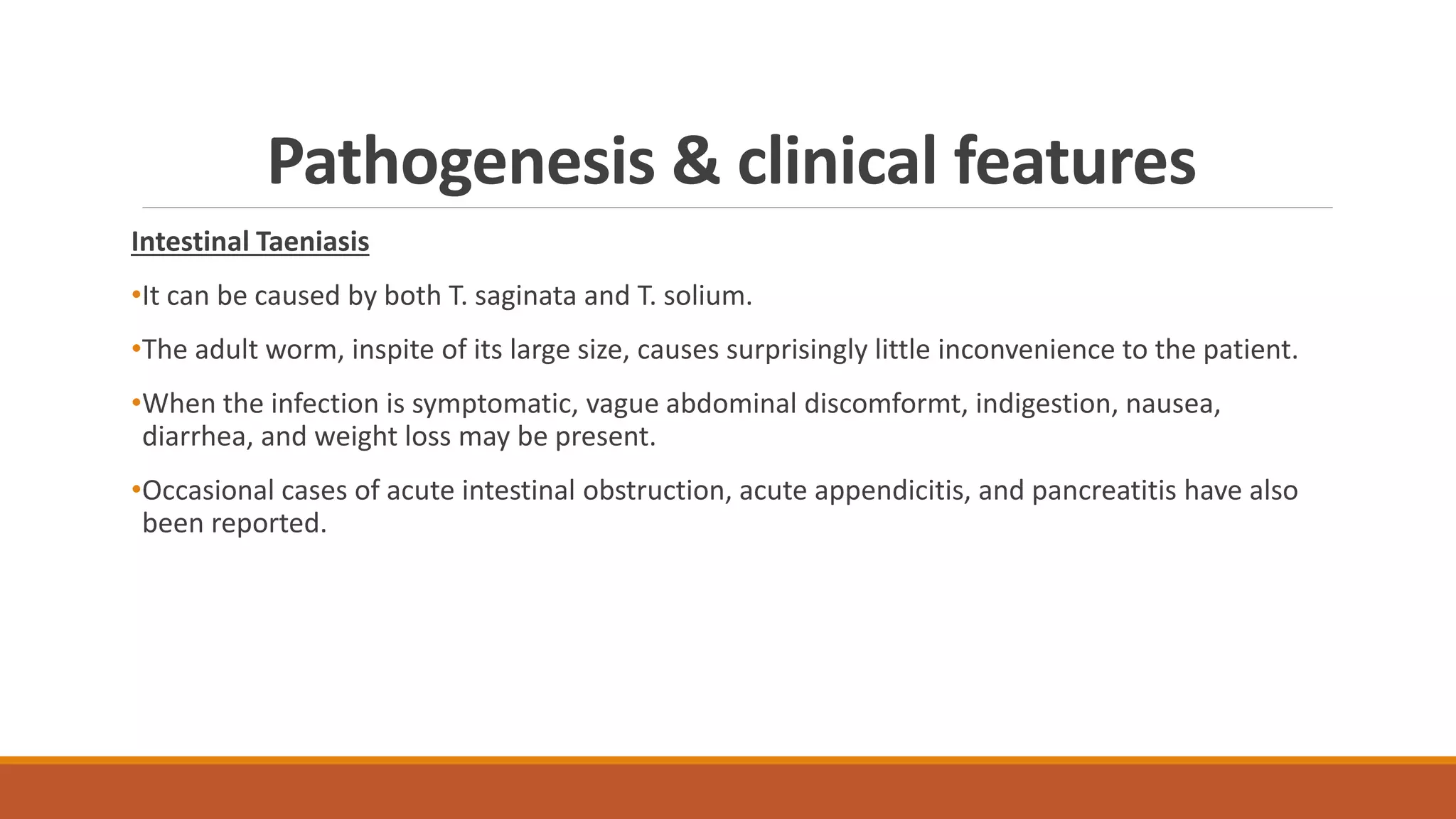 Lecture 19 (Tapeworms).pptx