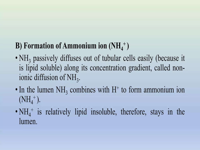 Lecture 1 Acid,base, buffers.pptx and function | PPTX