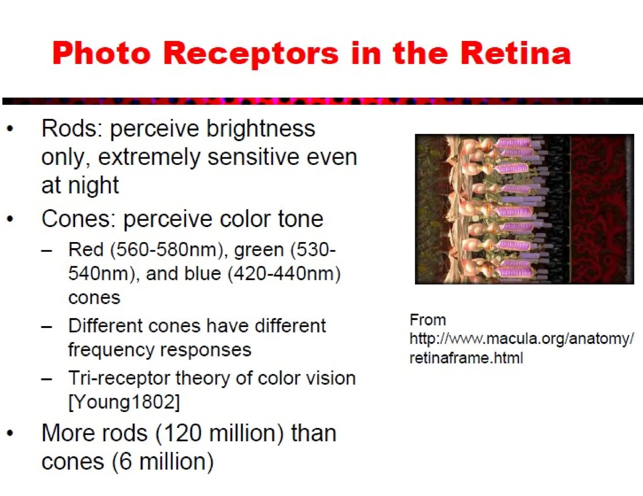 Lecture 1 Advanced Digital Image Processing ADIP.pptx